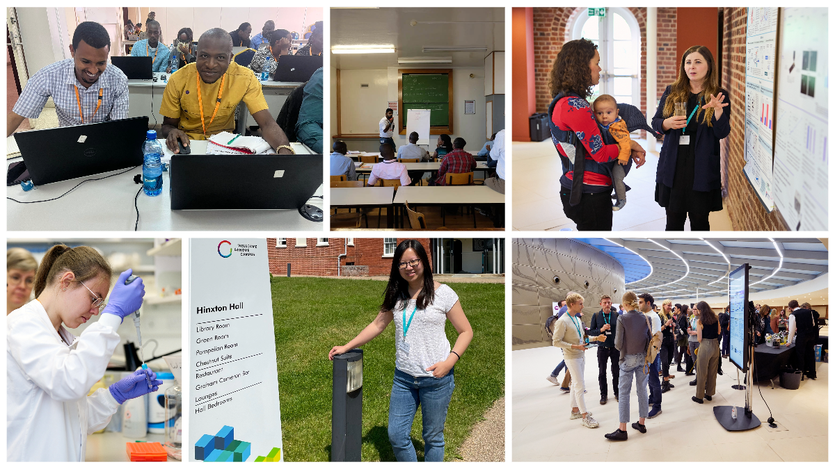 Research and innovation for human health: How education underpins ...